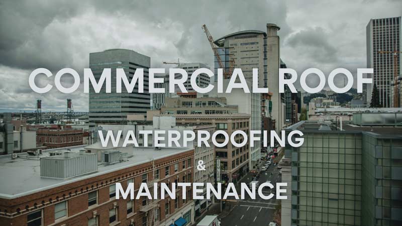 Commercial Roof Waterproofing and Maintenance: A Pacific Northwest Guide