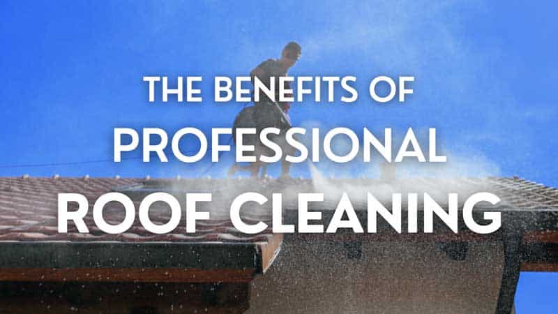 Benefits of Professional Roof Cleaning for Texas Homes