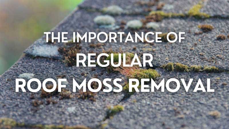 Protect Your Portland Roof: Importance of Regular Moss Removal